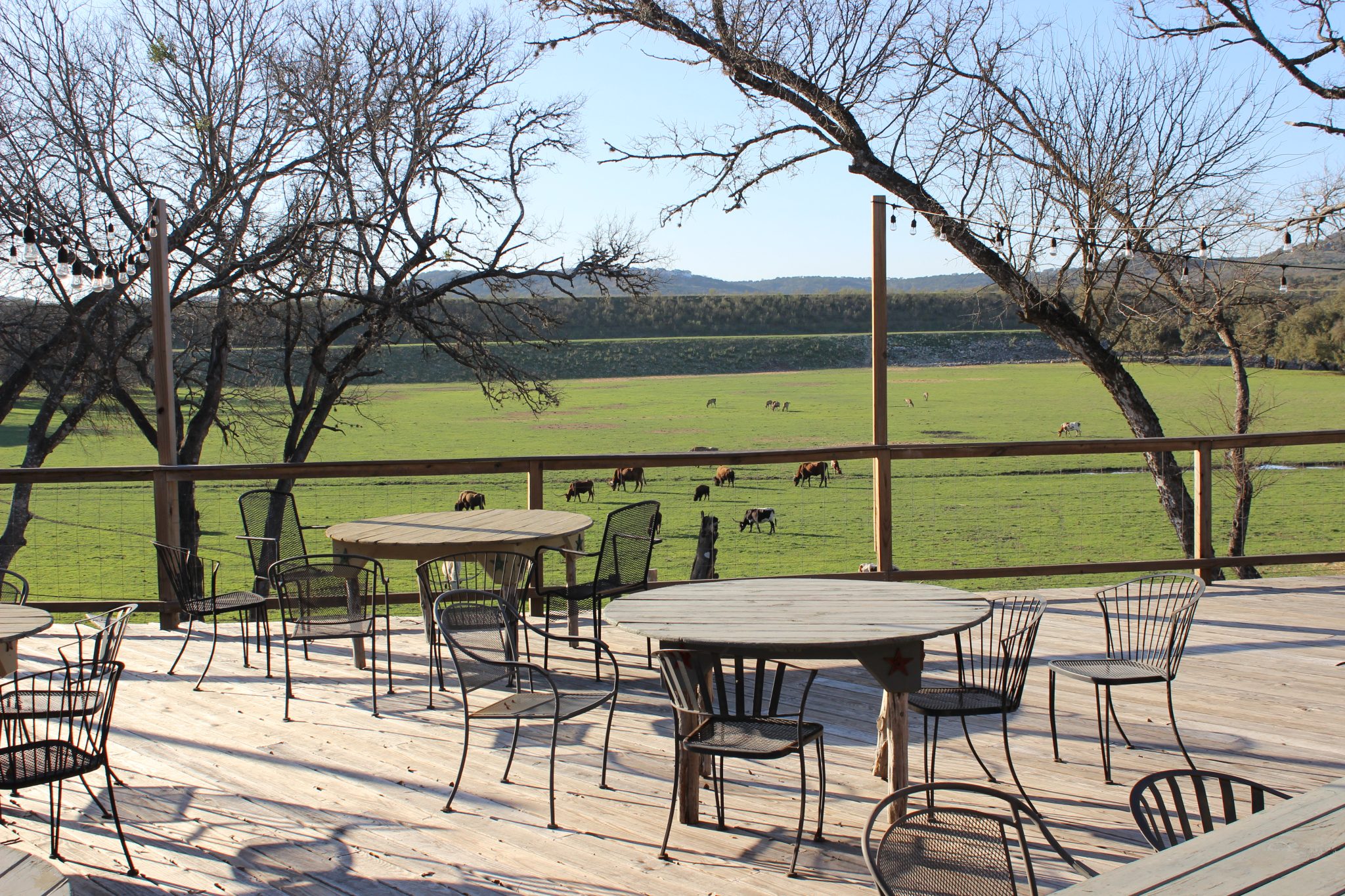 Our Spaces – Enchanted Springs Ranch